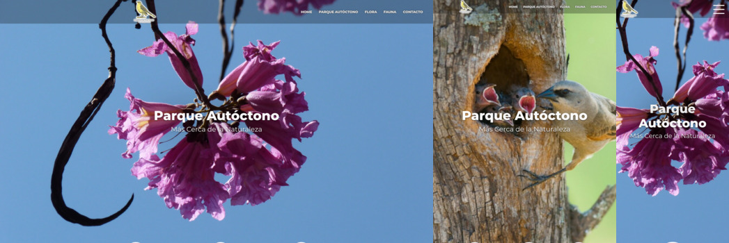 Bollo | Web Services